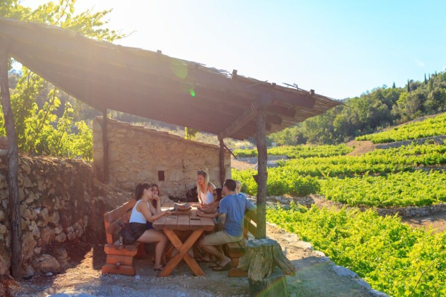 Peljeac Full-Day Wine and Food Tour from Dubrovnik - Who Will Love This Tour?