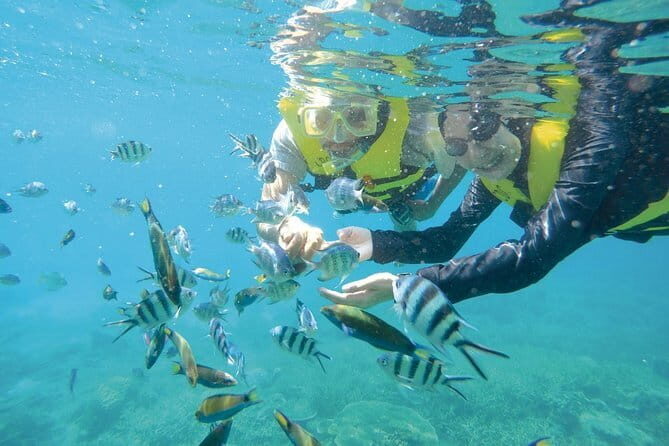 Perhentian Island Snorkeling Day Trip from Kuala Besut Jetty - Who Should Take This Tour?