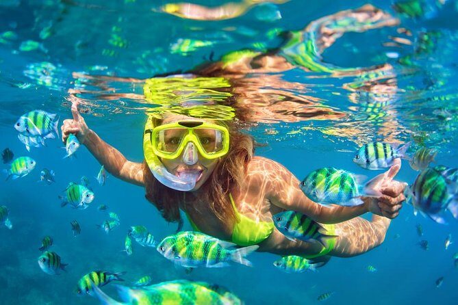 Phi Phi & Bamboo Island with Lunch by Speed Boat Full Day - The Practical Side: What This Tour Means for You