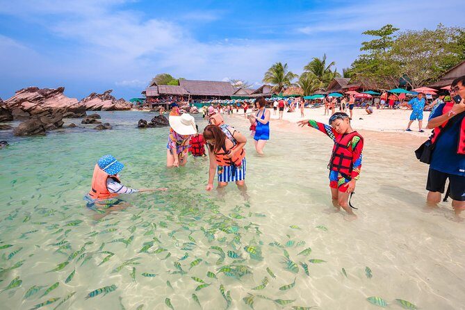 Phi Phi Island from Phuket by Speedboat (SHA Plus) - What Travelers Are Saying