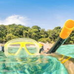 Phi Phi Islands Adventure: Ferry, Snorkeling & Island Lunch - Pricing and Value