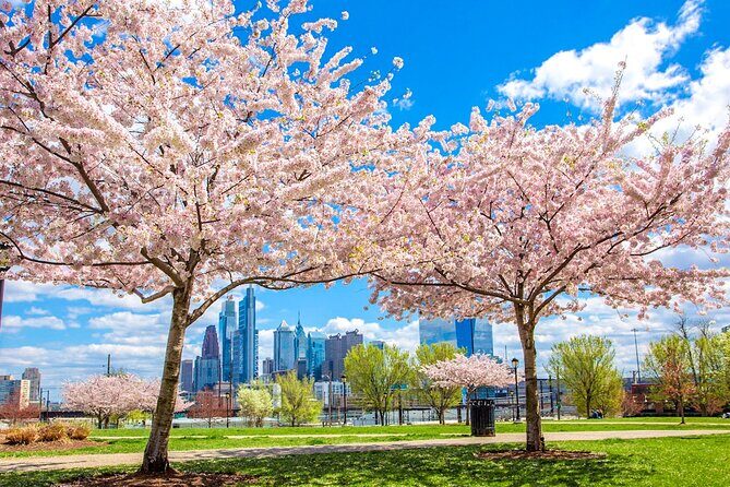 Philadelphia Cherry Blossom 1-Day Tour from New York - What Travelers Say: Authentic Perspectives