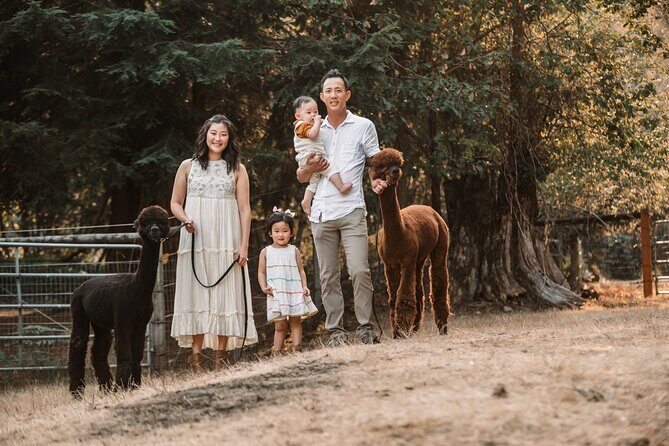 Photoshoot with Alpacas and Farm Experience near Seattle - Who Should Consider This Experience?