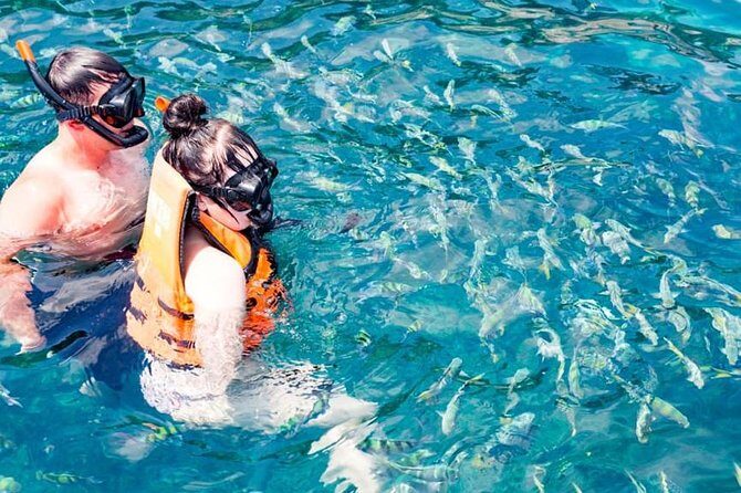 Phuket Dolphin Quest: Racha & Maiton Island Expedition - What Travelers Say