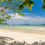 Phuket Shore Excursion - Private City Tour for Cruise Arrival (SHA Plus) - Who Would Love This Tour?