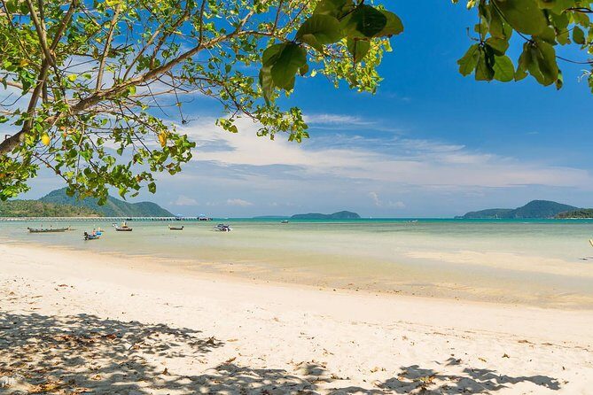 Phuket Shore Excursion - Private City Tour for Cruise Arrival (SHA Plus) - Who Would Love This Tour?