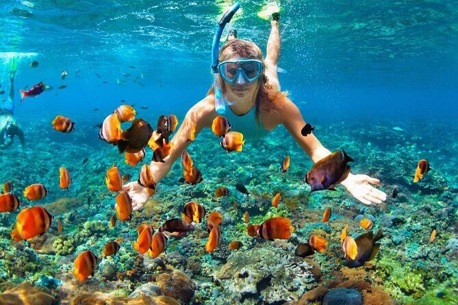 Phuket Similan Island Andaman Ocean Tour by Van and Speedboat - The Sum Up: Is This Tour Worth It?