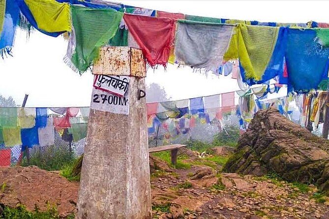 Phulchowki day hiking - A Detailed Look at the Tour Experience
