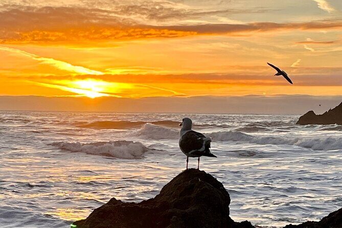 Picture your best SF tour ever! (Epic Bay Area photo adventures) - Who Should Take This Tour?