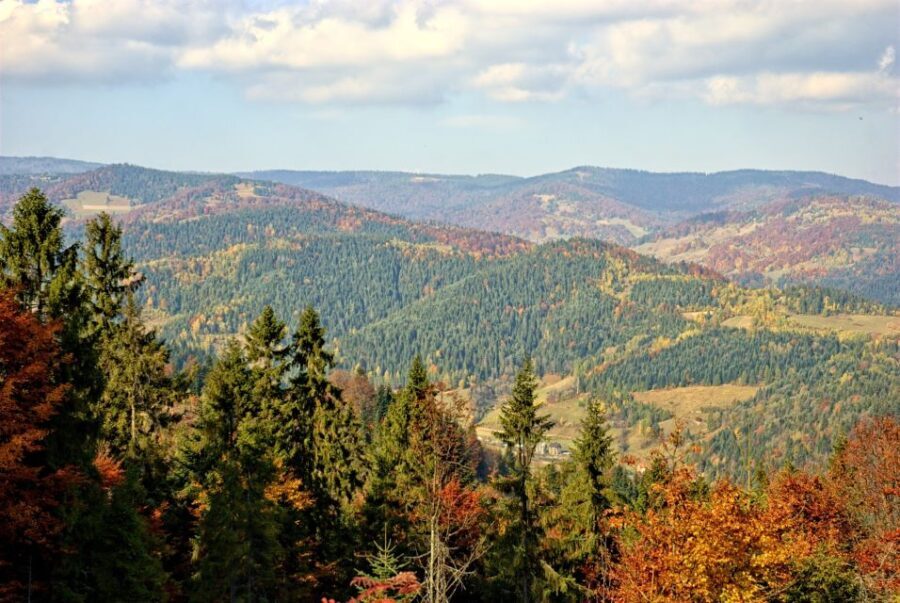 Pieniny Mountains: Hiking and Rafting Tour from Krakow - Authenticity and Value