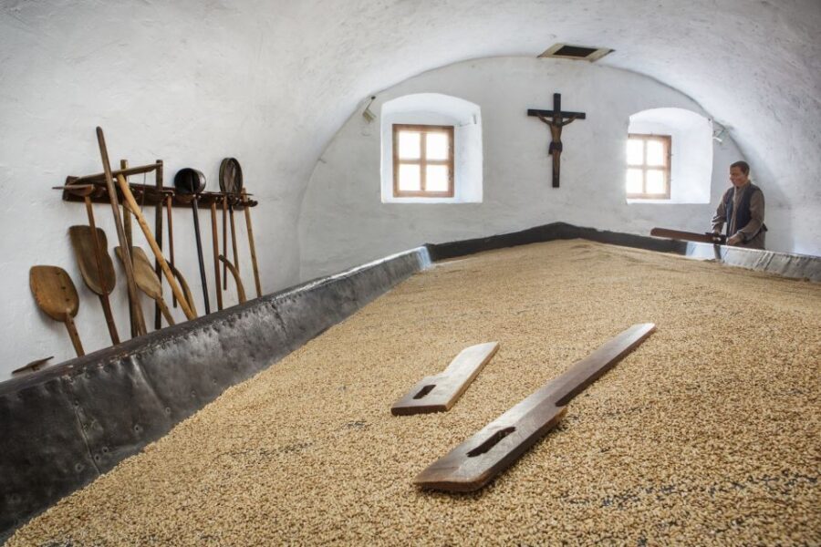 Pilsen: Brewery Museum Entrance with a Glass of Beer - Is This Tour Right for You?