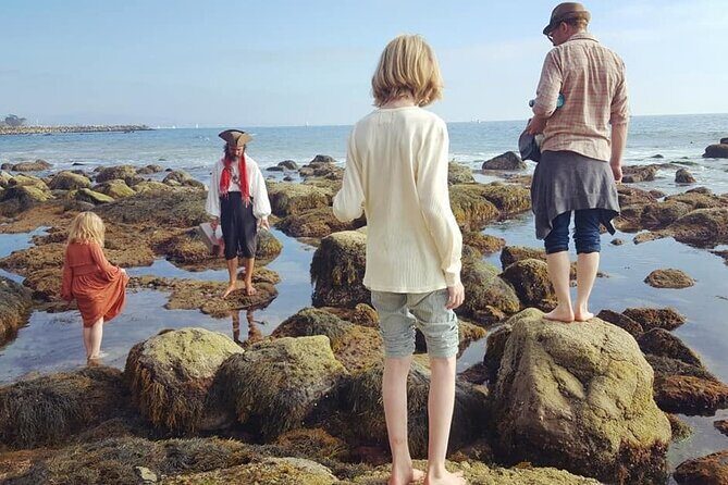 Pirate Sea Cave Tide Pool Walk at Dana Point - Authentic Reviews from Participants