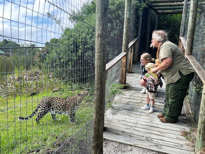 Plettenberg Bay: Wild Cat and Wildlife Guided Tour - The Itinerary in Detail