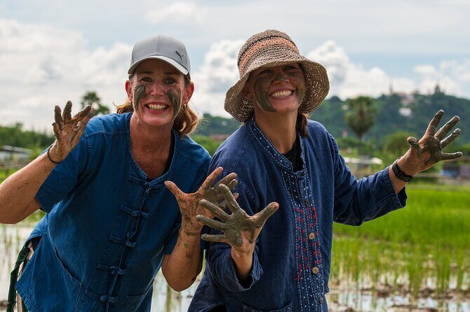 Plough to Plate: Be A Rice Farmer in Phetchaburi from Hua Hin - Analyzing the Value