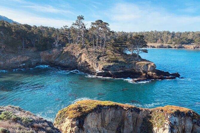 Point Lobos - A Private Charming Ocean Tour - The Scenic Highlights and What to Expect