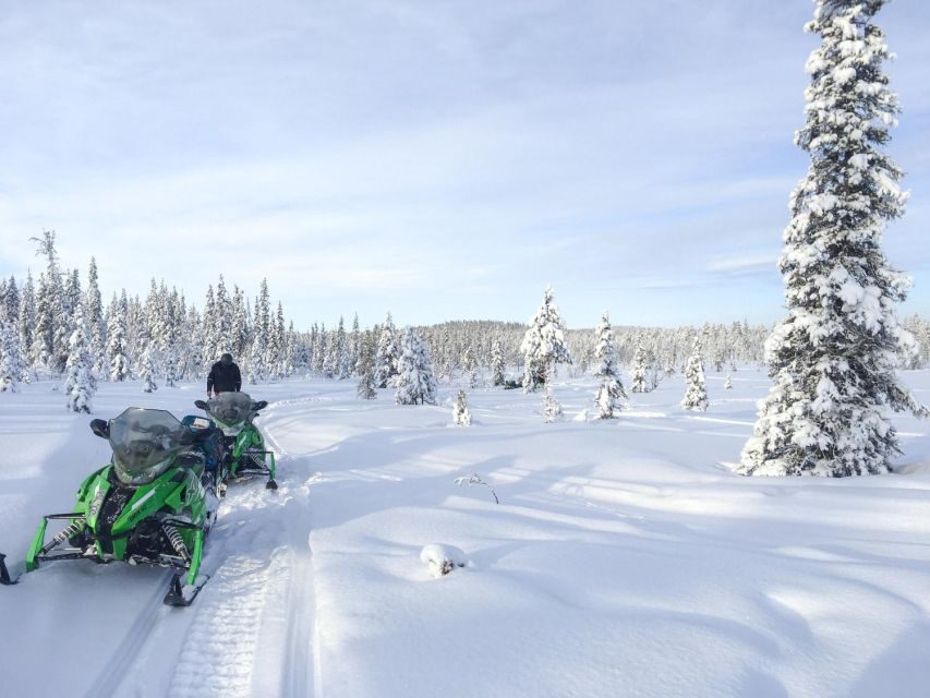 Polar Nature Tour on Snowmobile - The Experience in Detail