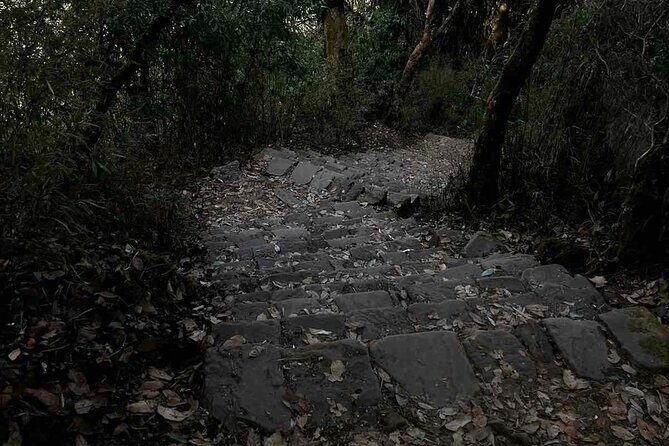 Popular One-Day Hiking Options near Kathmandu - Potential Drawbacks
