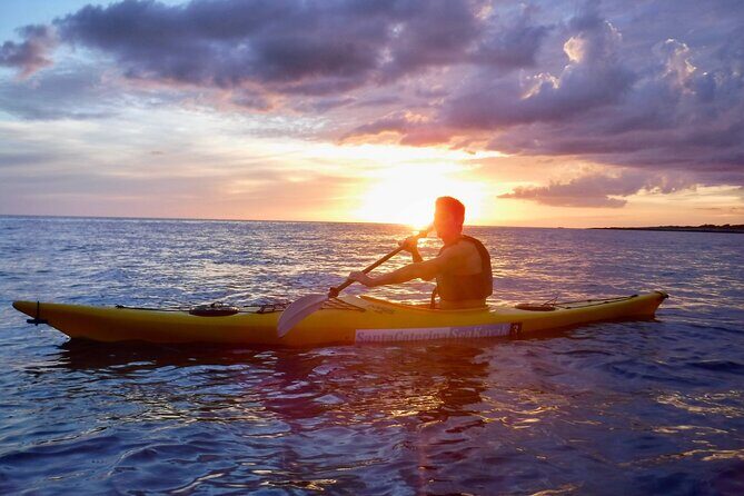 Porto Selvaggio kayak tour + cliff diving + cold spring immersion - Practical Details: What to Expect