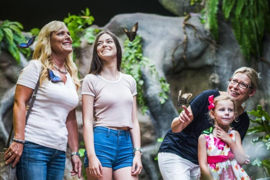Prague: Papilonia Butterfly House - The Visit Itself: What to Expect