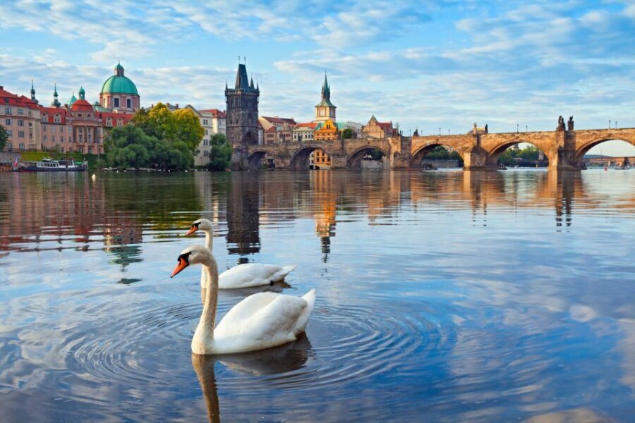 Prague : Private Walking Tour with A Guide (Private Tour) - The Value of a Private, Customized Experience