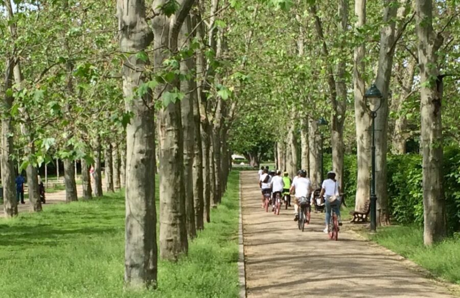 Prague: Stunning Viewpoints, Castle, City & Park E-Bike Tour - Who will love this tour?