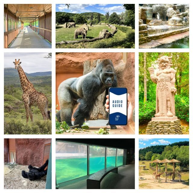 Prague Zoo Online Audio Guide (No ticket) - Who This Experience Is Perfect For