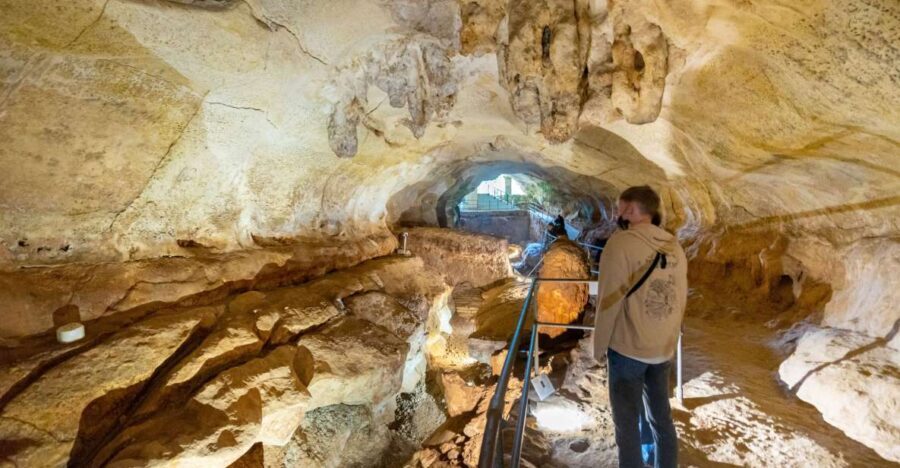 Prehistoric Temples of Malta Tour - The Cave and Museum: Malta’s Prehistoric Depths