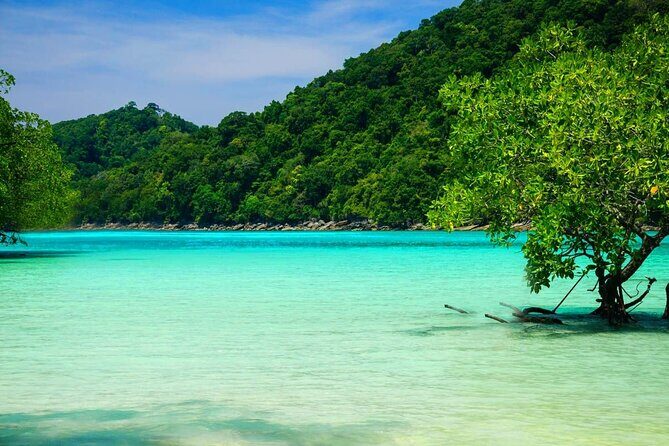 Premium Similan Island Day Trip with lunch and transfer pick up - A Deep Dive into the Itinerary