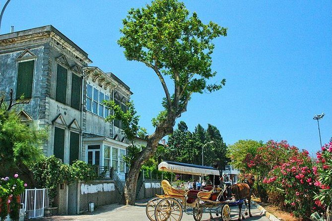 Princes' Islands Tour from Istanbul - What Do the Reviews Say?