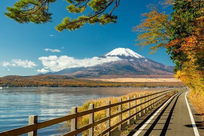 Private 1 Day Round Trip Tour from Tokyo to Mount Fuji - Authentic Experiences and Traveler Feedback