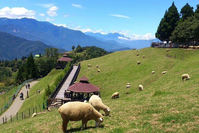 Private 2-Day Qingjing and Hehuan Mountain Tour from Taipei - What Makes This Tour Stand Out?