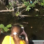 Private 2-Hour Airboat Tour of Miami Everglades - Why Choose This Airboat Tour?