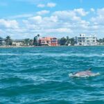 Private 2-Hour Dolphin Watching Cruise in St. Petersburg, FL - Pricing and Value