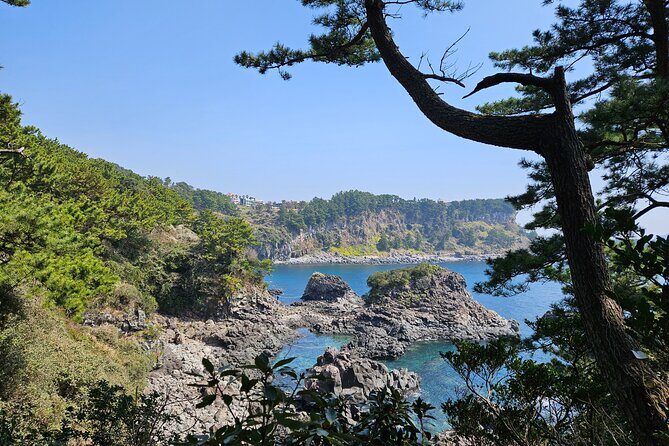 Private 2Days Tour a lot of Experience Driver in jeju island - Who Would Enjoy This Tour?
