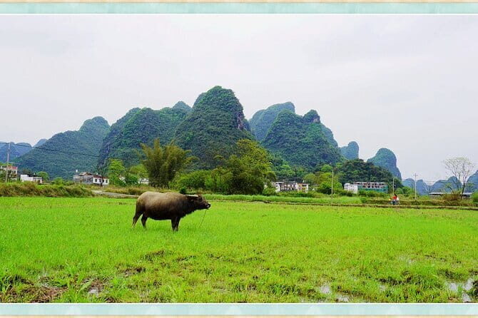 Private 3 Days Tour to Guilin and Yangshuo - The Sum Up
