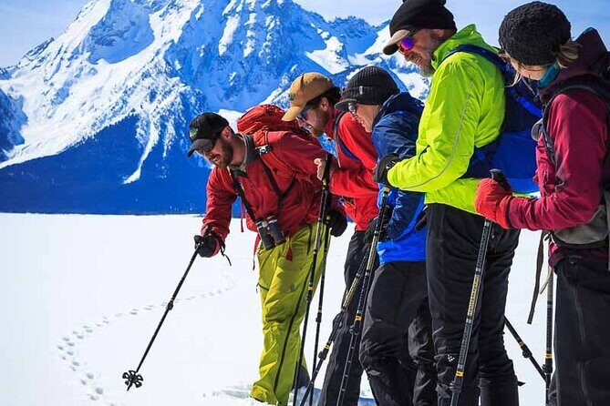 Private 4 Hour Beginner Cross Country Skiing in Grand Teton - Why This Tour Works Well