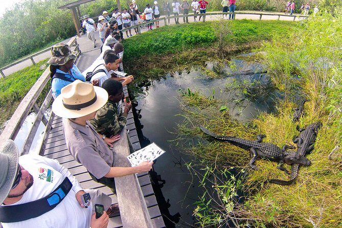 Private 4-hour Tour of Everglades from Miami Dade - The Itinerary Breakdown