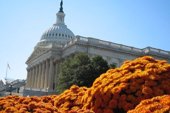 Private 4-hour Walking Tour in Washington with official tour guide - The Practical Side: What You Need to Know