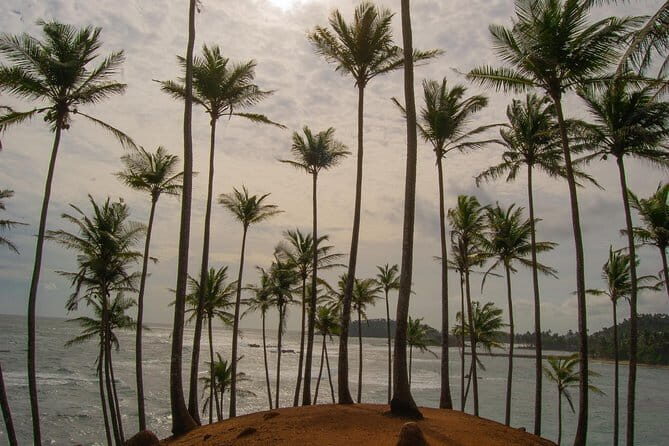 Private 6-Day-Highlights-Tour Around Sri Lanka - Frequently Asked Questions