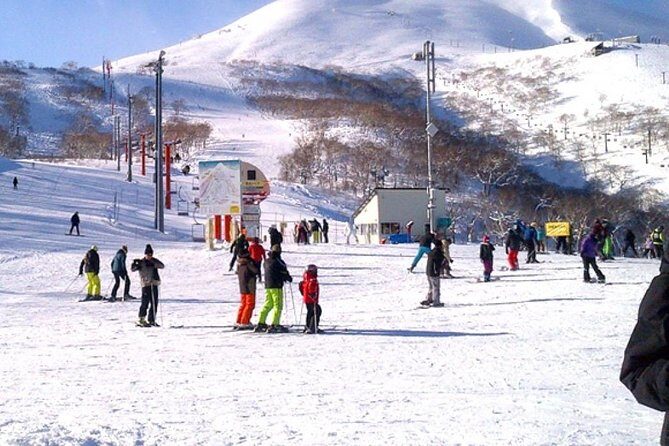 Private 6 Days Splendid Kashmir Tour - Authentic Experiences and Traveler Feedback