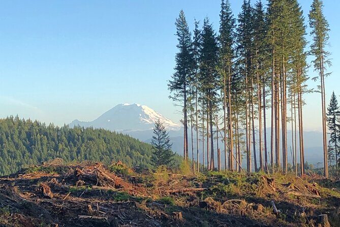 Private Adventure Mountain Biking in Seattle's Eastside - Summary: Who Benefits Most?