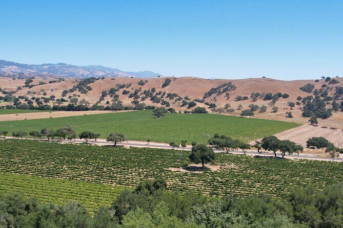Private All-Inclusive 3-Winery SYV Tour from Santa Barbara - Who Might Want to Consider Other Options