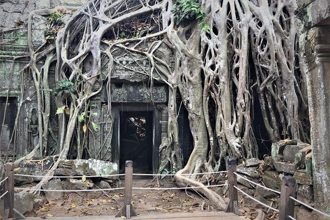 Private Angkor Wat sunrise Bayon Ta Prohm private from Siem Reap - Who Will Love This Experience?