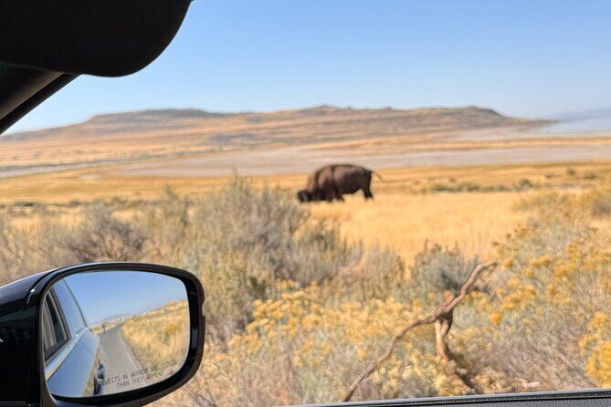Private Antelope Island & Great Salt Lake Tour - What’s Included and What’s Not