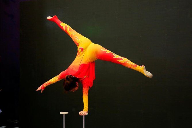 Private Beijing Night Tour: Acrobatic Show and Peking Duck Dinner - FAQs