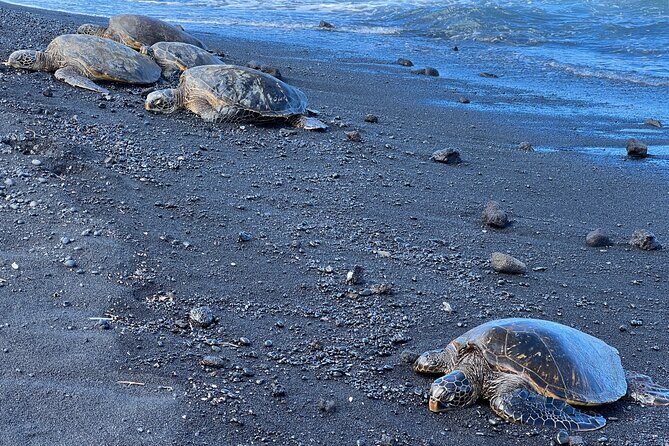 Private Big Island Tour of East to West - Frequently Asked Questions