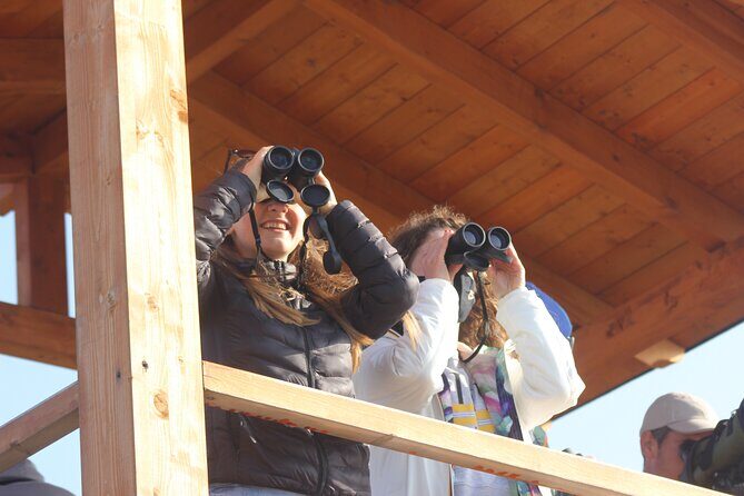 Private Birding Tour in Albania - The Value of the Experience