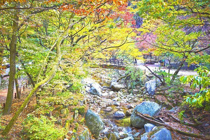 Private Bukhansan Mountain Hiking Tour with Korean Sauna - The Beauty of the Korean Spa Experience