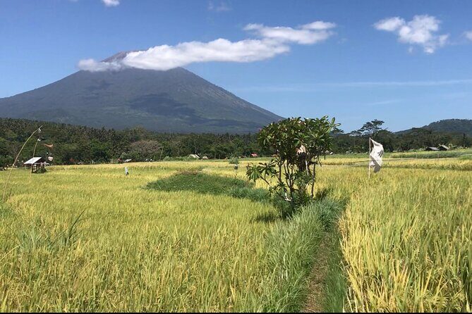Private Car Charter in Bali with an English speaking Driver - What’s Included and What’s Not?