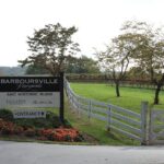 Private Charlottesville Area Wine Tour - The Experience and What Travelers Say